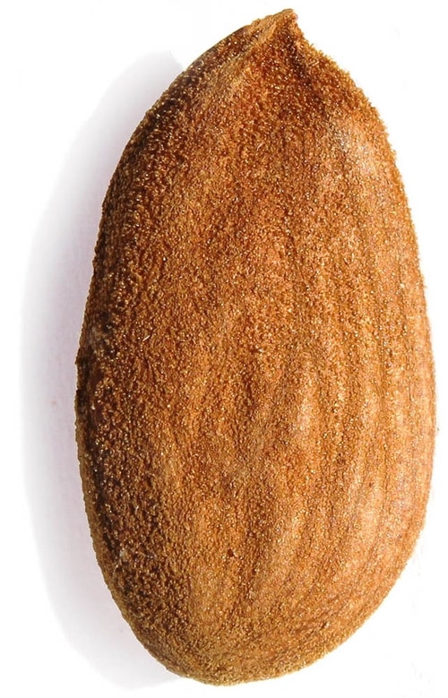 ALMENDRAS FRANCISCO MORALES | ALMONDS
