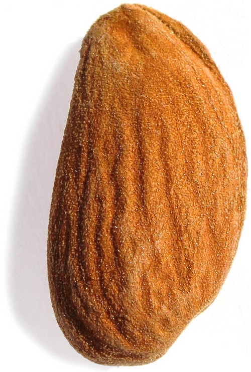 ALMENDRAS FRANCISCO MORALES | ALMONDS